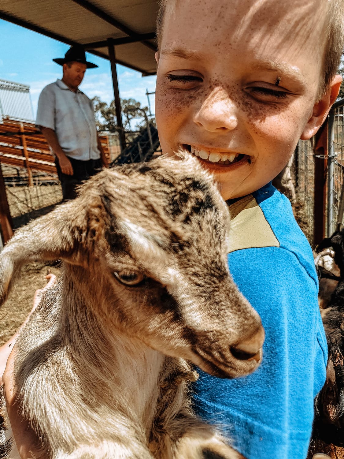 Yanda Station Rangeland Goats | Gallery